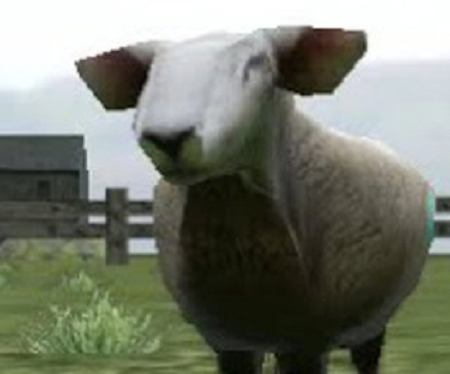 Crazy Cattle - Play Online Crazy Cattle on Basketball Bros